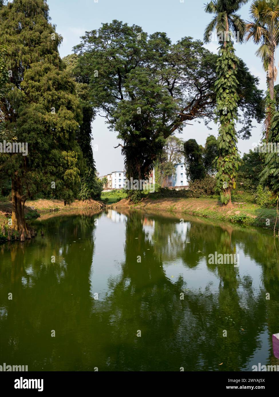 India, Kolkata, Botanical Gardens Stock Photo - Alamy