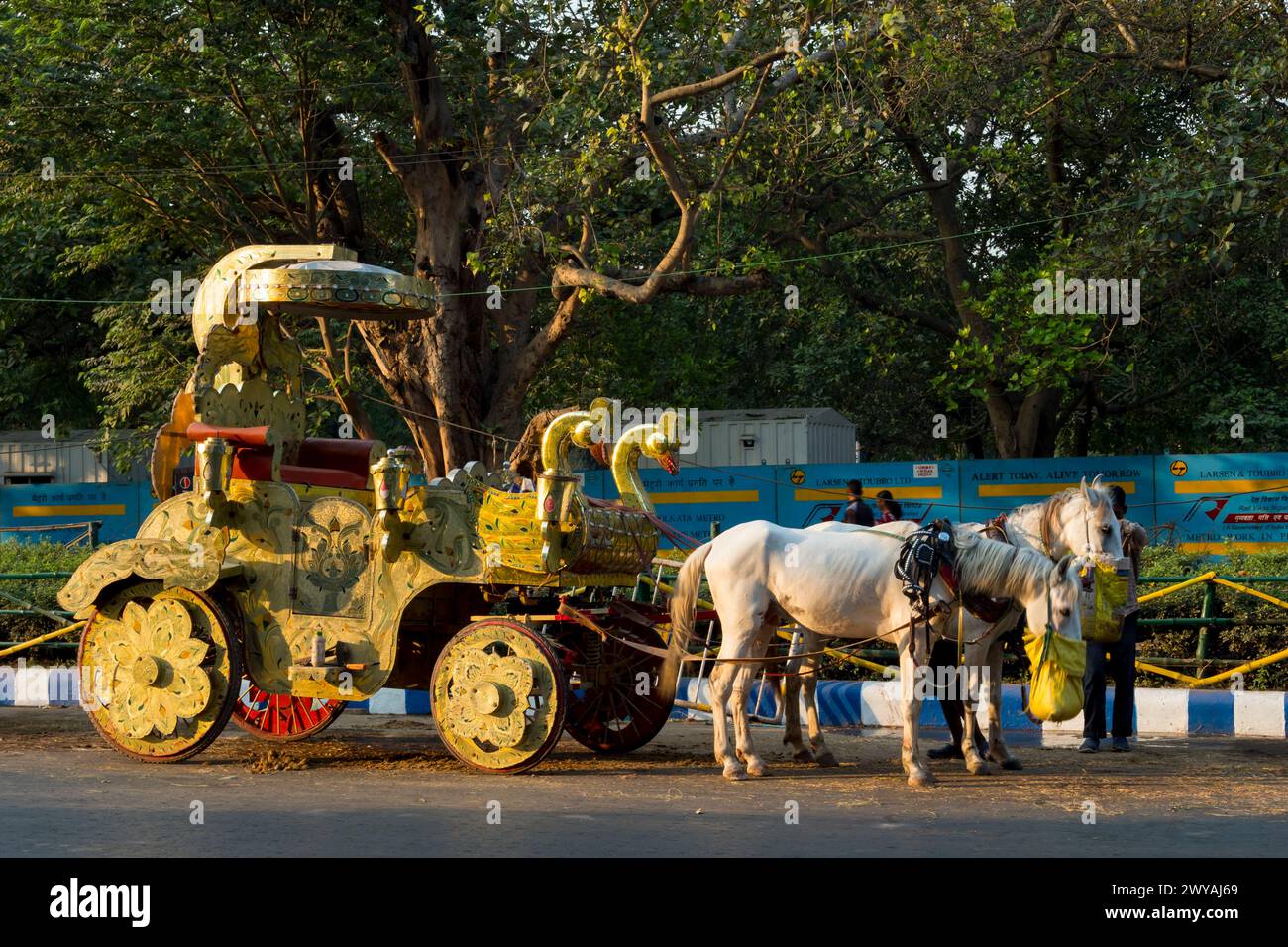 Ornamental carriages hi-res stock photography and images - Alamy