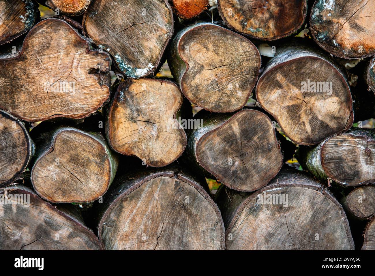 Rustic natural log stack Stock Photo - Alamy