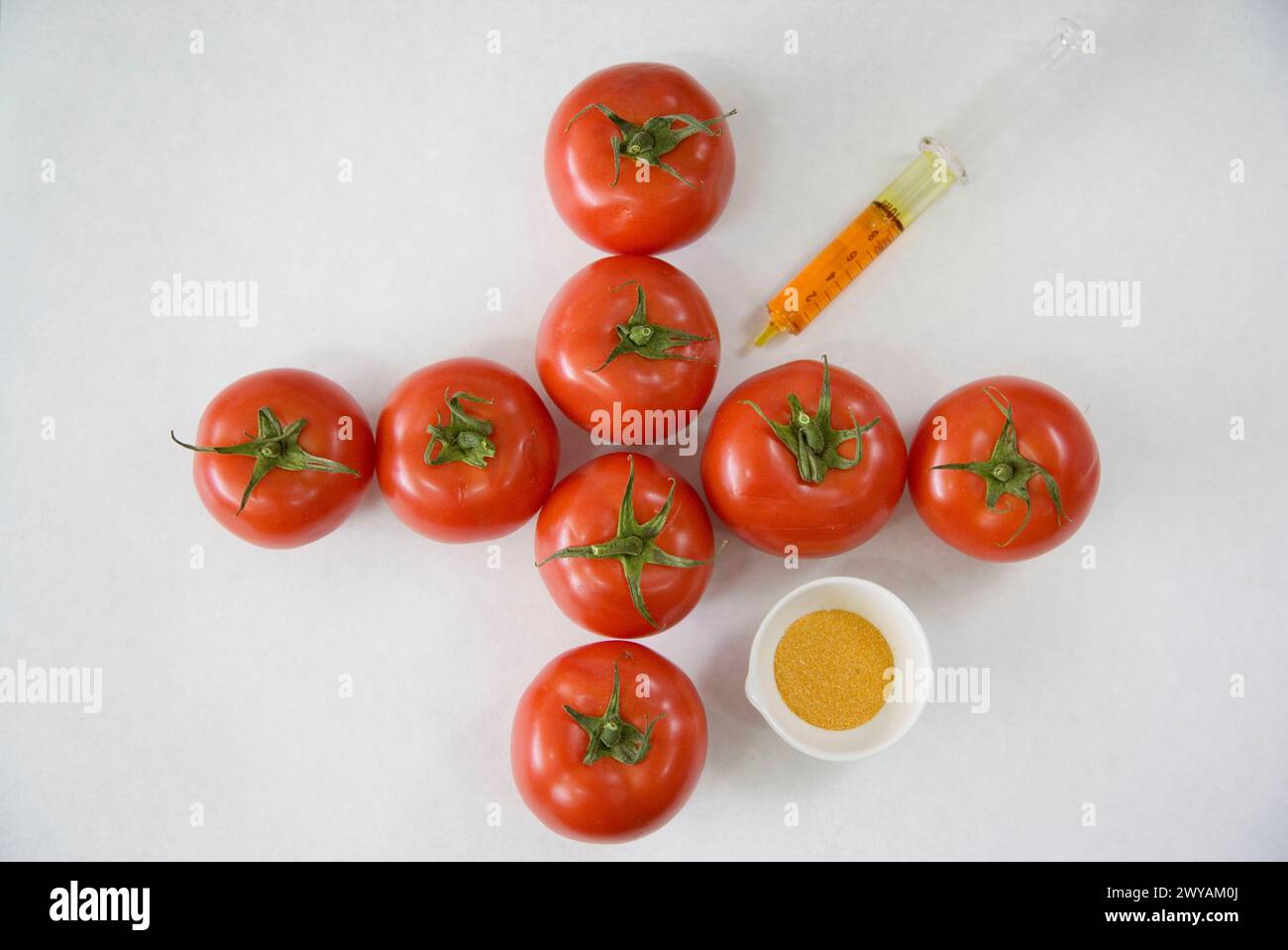 Research and Development laboratory. Functional biomolecules in food ...