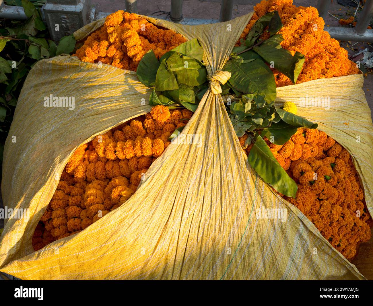 India, Kolkata, Howrah Bridge Mullick Ghat flower market Stock Photo ...