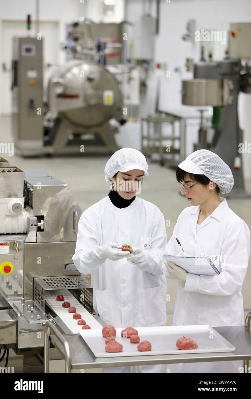 Researchers preparing vegetable-filled meatballs using food co ...