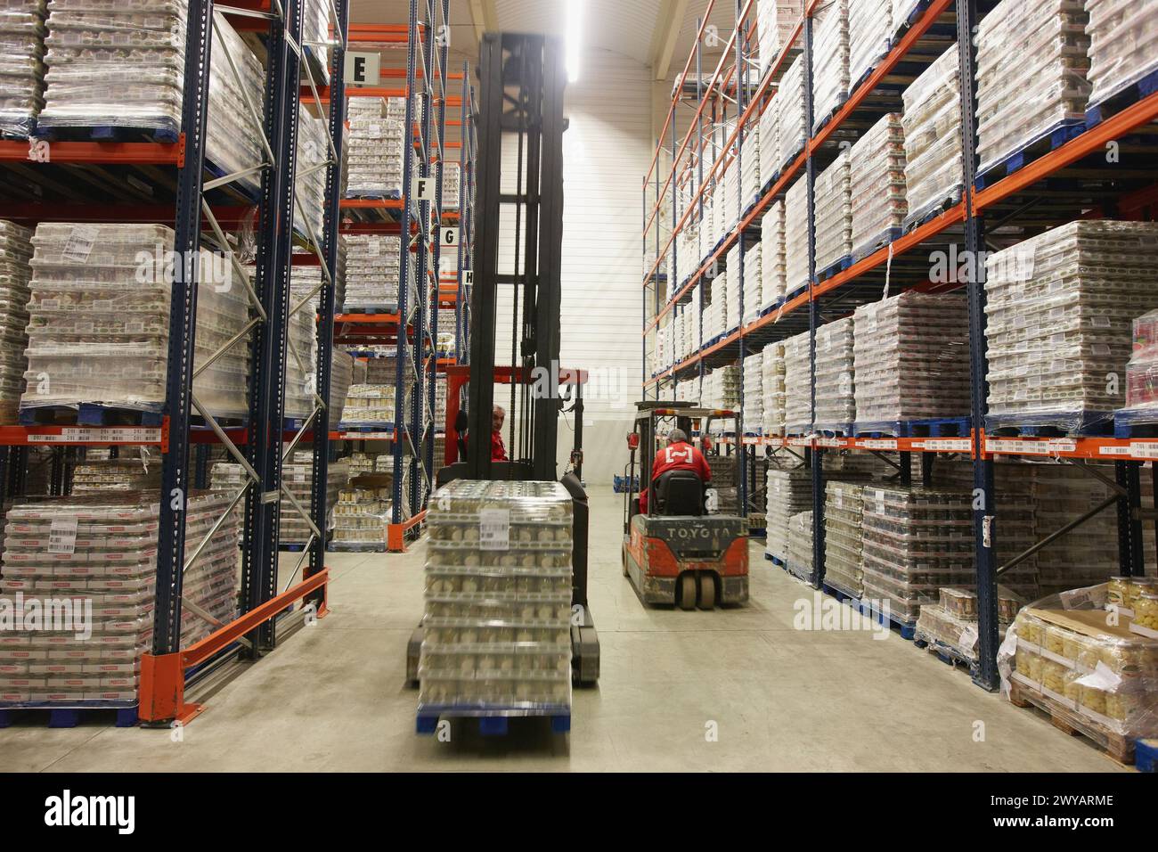 Forklifts, Pallet warehouse, Packaging canned vegetables, Canning ...