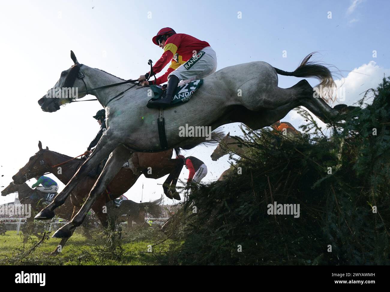 Vanillier horse hi-res stock photography and images - Alamy