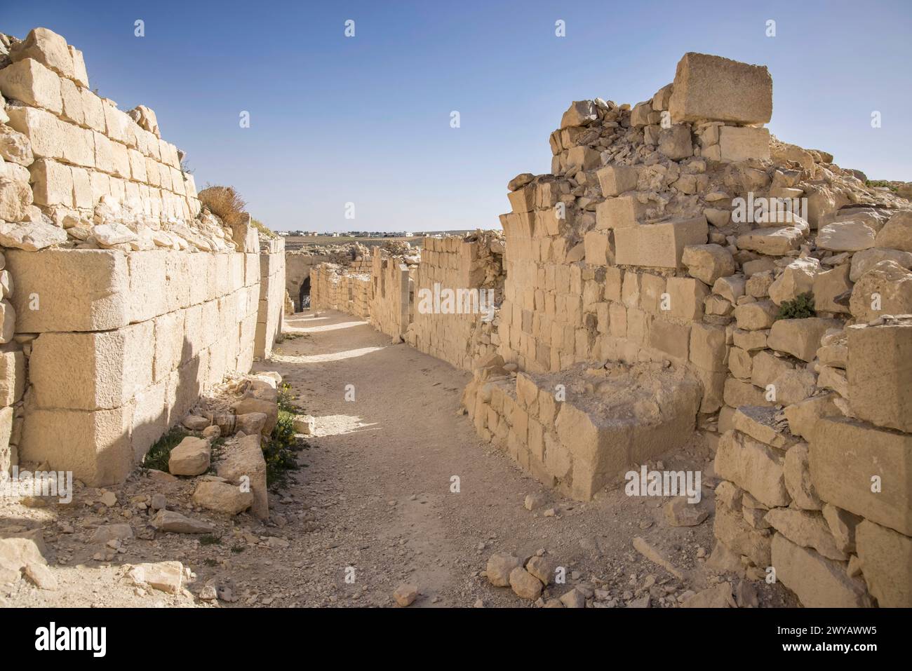partly restored shoubak castle ruins built in 1115 by king baldwin sits ...
