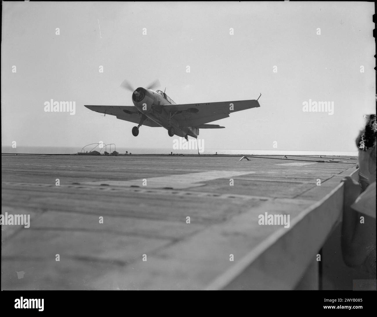 THE ROYAL NAVY DURING THE SECOND WORLD WAR - A Grumman Avenger of 846 ...