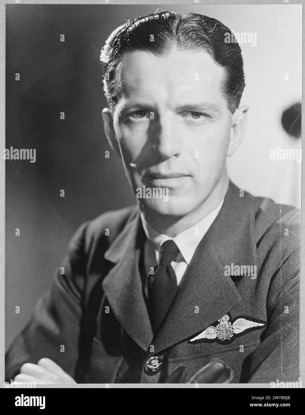 Wing Commander J. Davison, Royal Air Force liaison officer with the ...