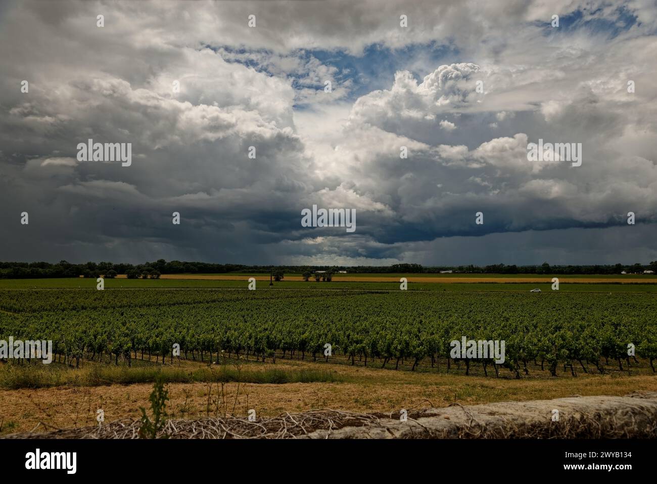 Thunderstorm and stormy sky, bad weather landscape. Threatening sky in ...