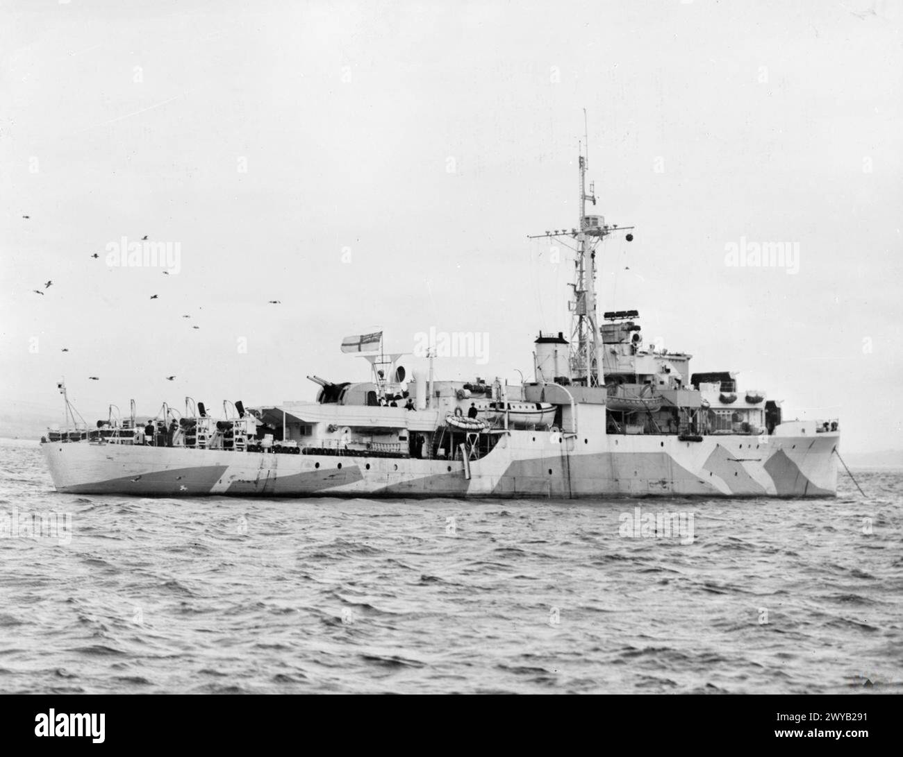 Hms Amethyst British Modified Black Swan Class Sloop 1944 And 1945 At Sea Royal Navy 