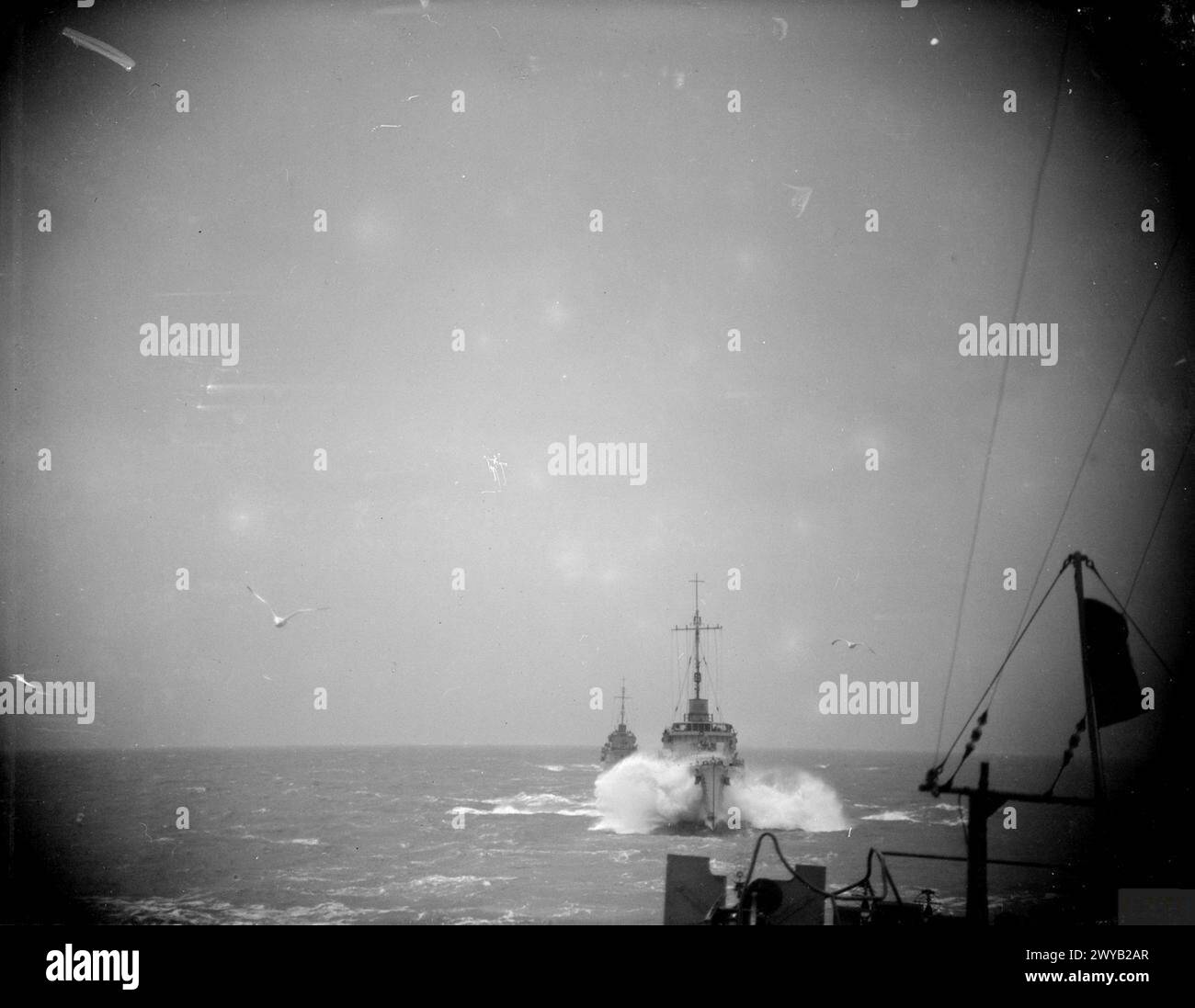 HMS Guillemot and HMS Puffin follow HMS Mallard, senior corvette of the ...