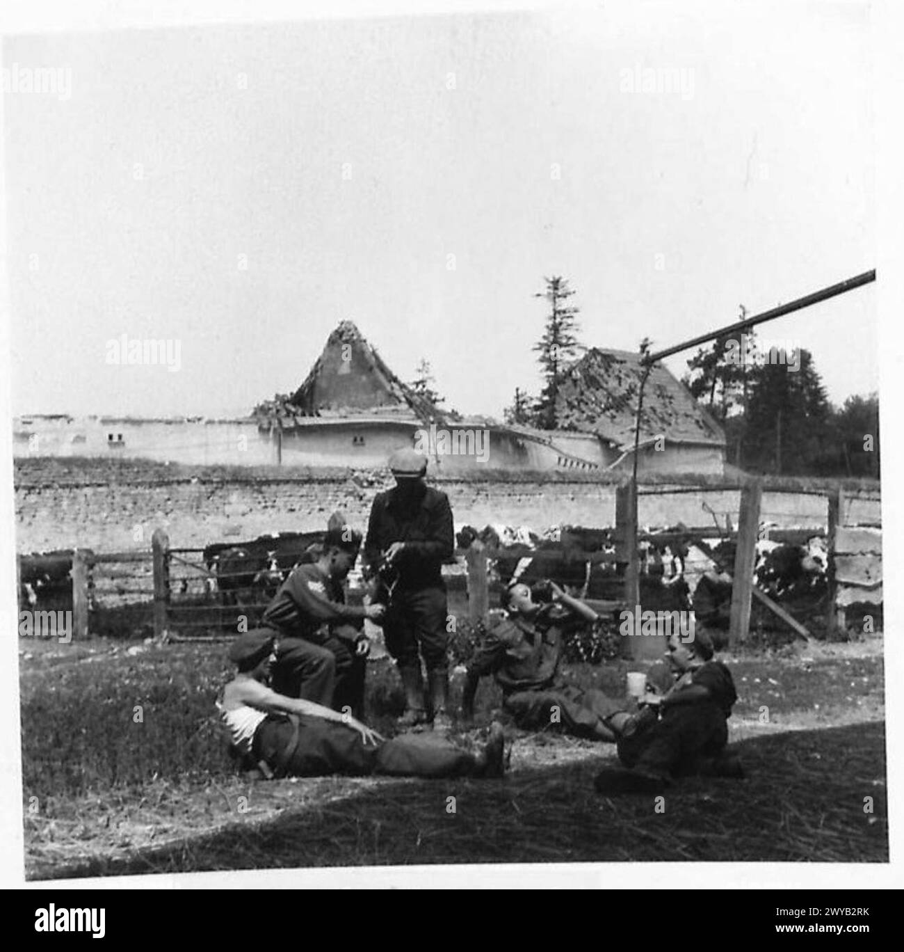 A FRONT LINE FARM IN FRANCE - Original wartime caption: M. Bekaort ...