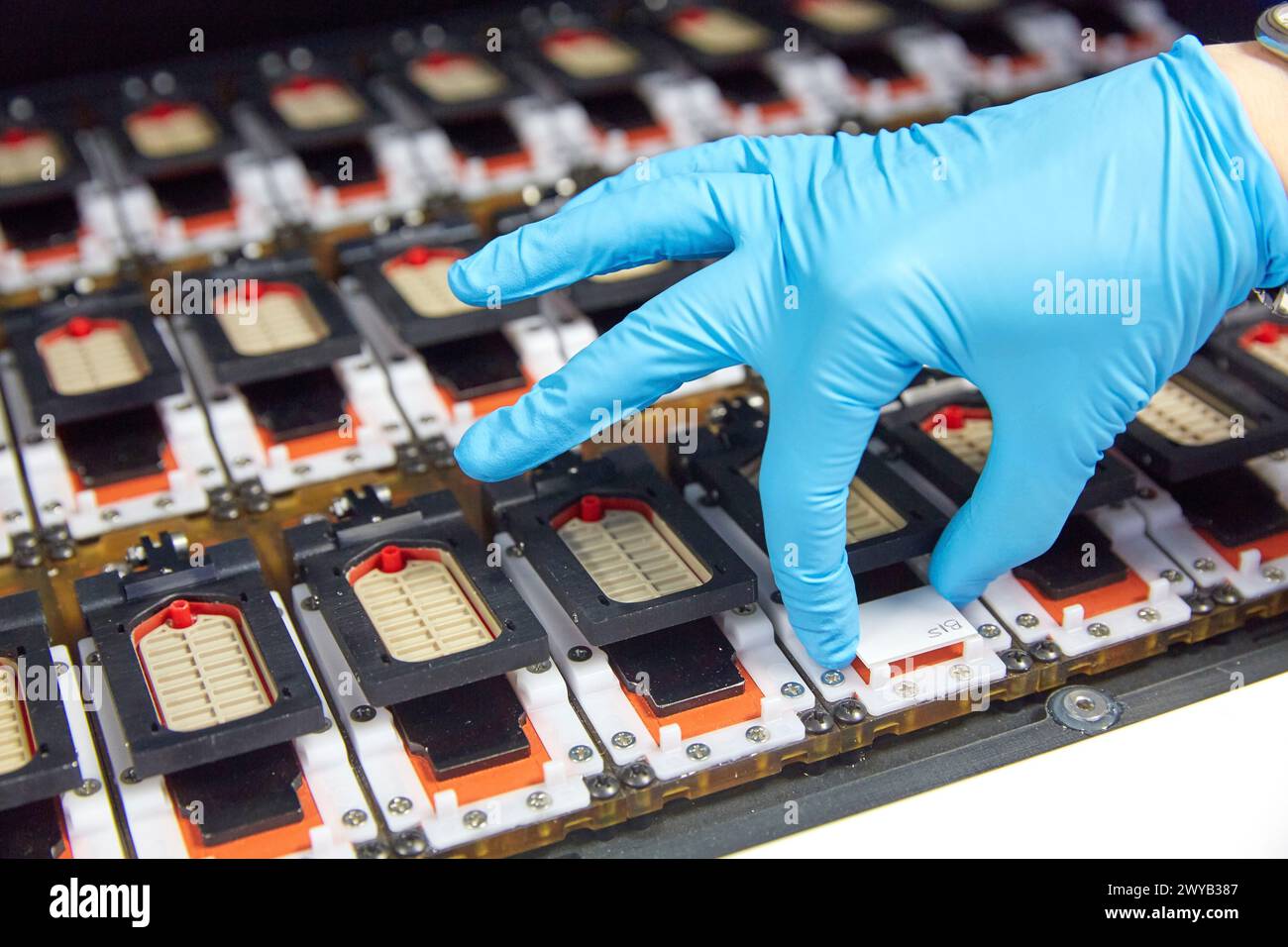 Fish cish test hi-res stock photography and images - Alamy