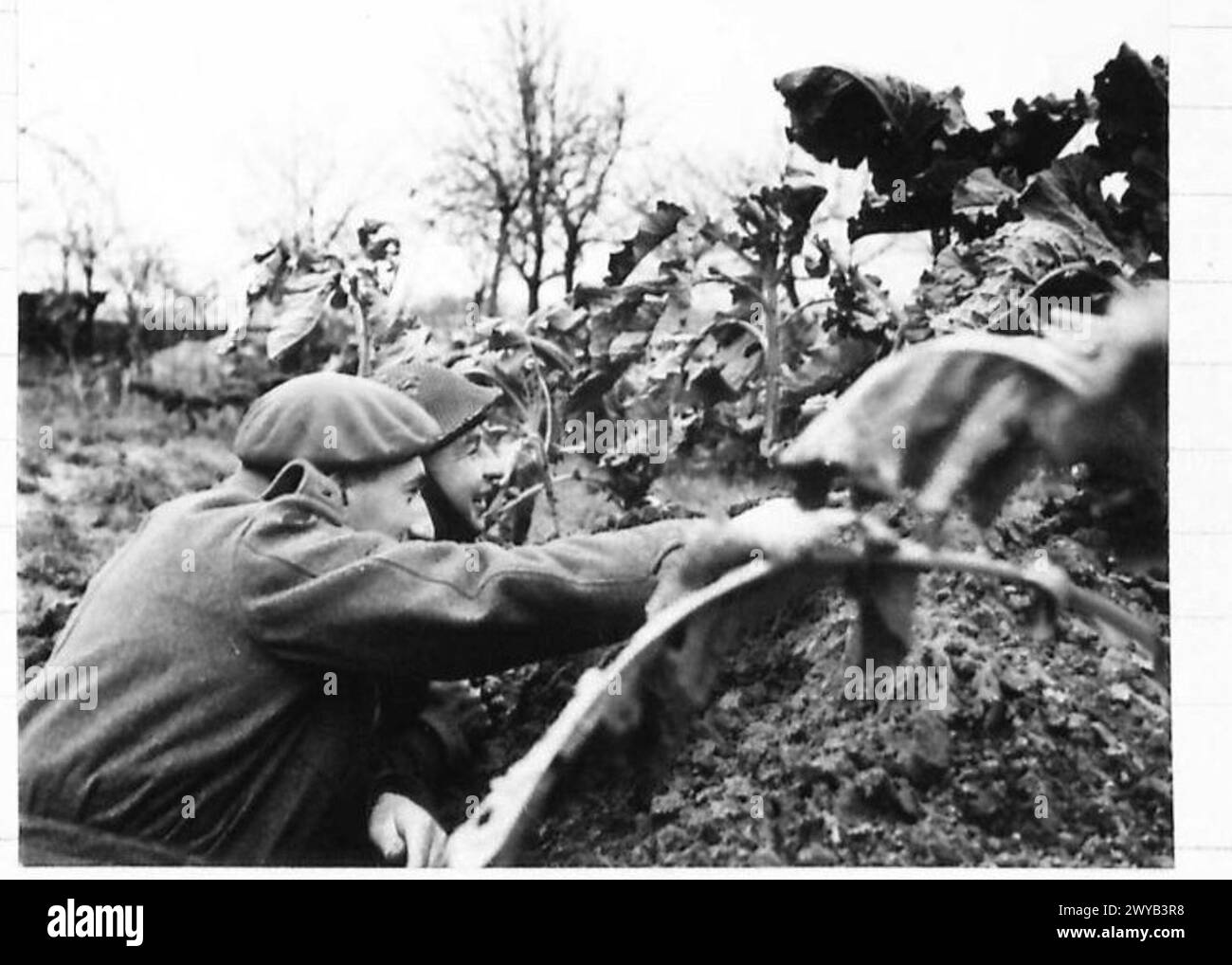 ON THE BANKS OF THE MAAS - Original wartime caption: Major Lewis of the ...