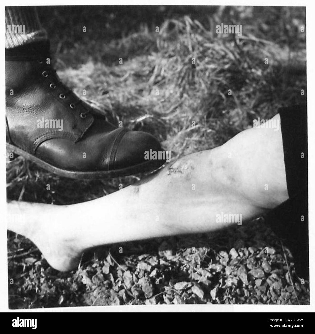 German wartime brutality hi-res stock photography and images - Alamy
