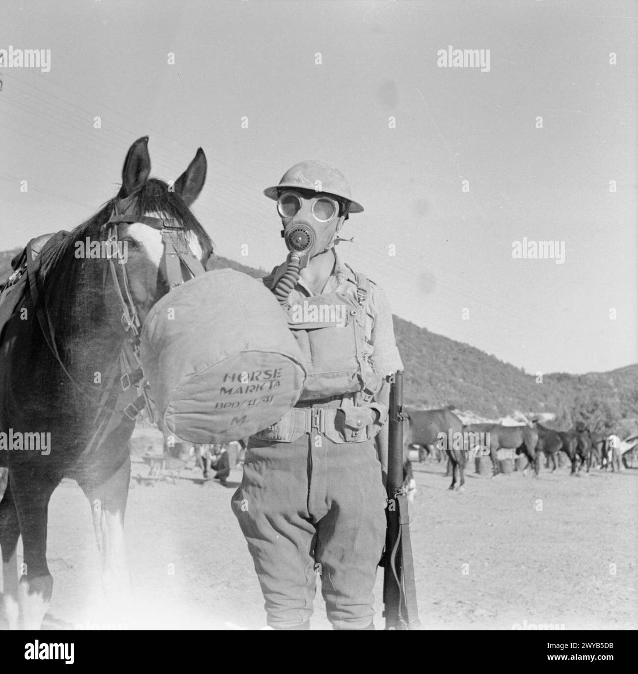 A trooper and horse from the TransJordan Frontier Force Cavalry ...