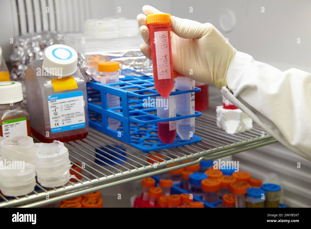 Incubator cell culture unit research hi-res stock photography and ...