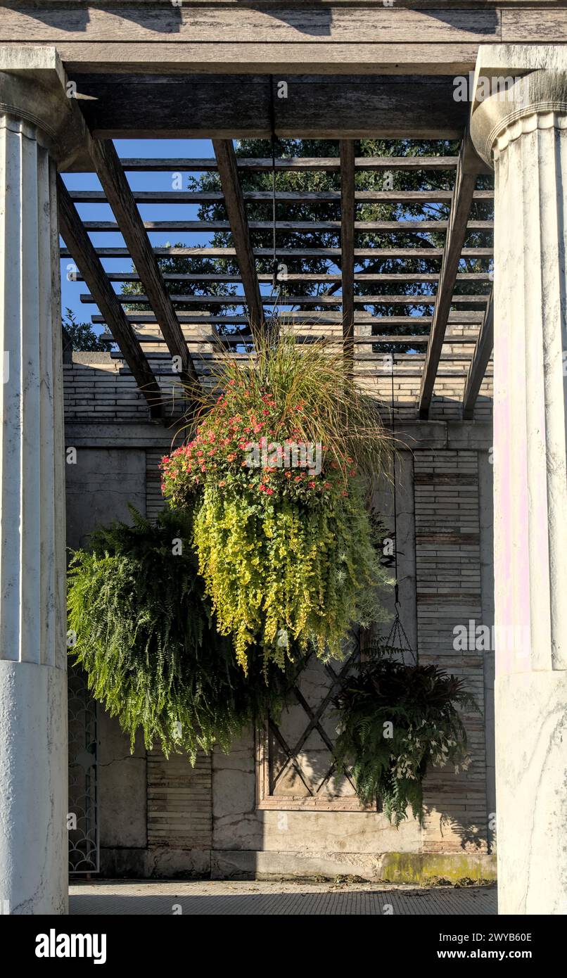 hanging plants between roman style columns (decorative ferns) famous ...