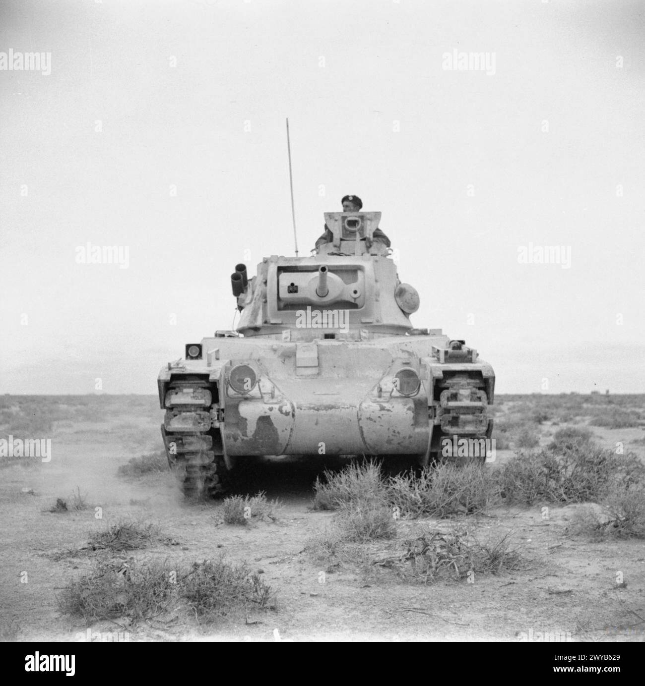 Matilda tank hi-res stock photography and images - Alamy