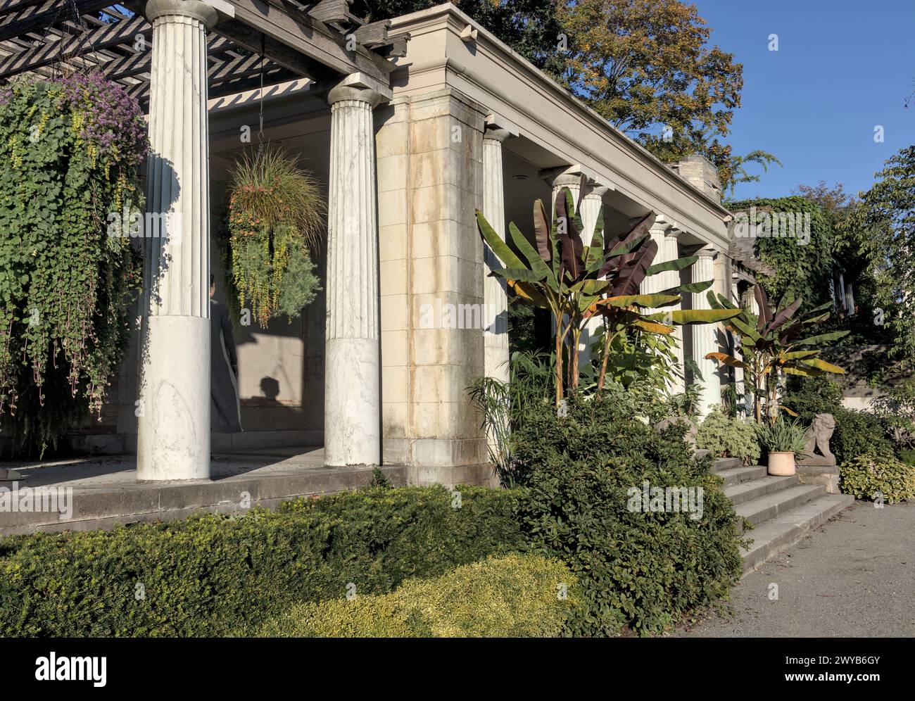 hanging plants between roman style columns (decorative ferns) famous ...