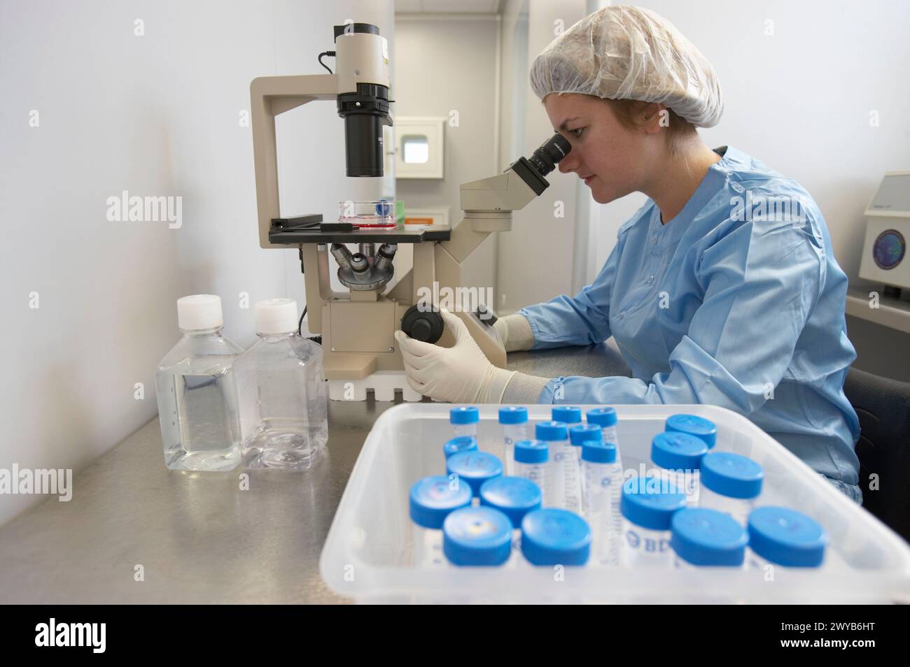 Analyzing samples in microscope. Quarantine zone (Grade C), clean room ...