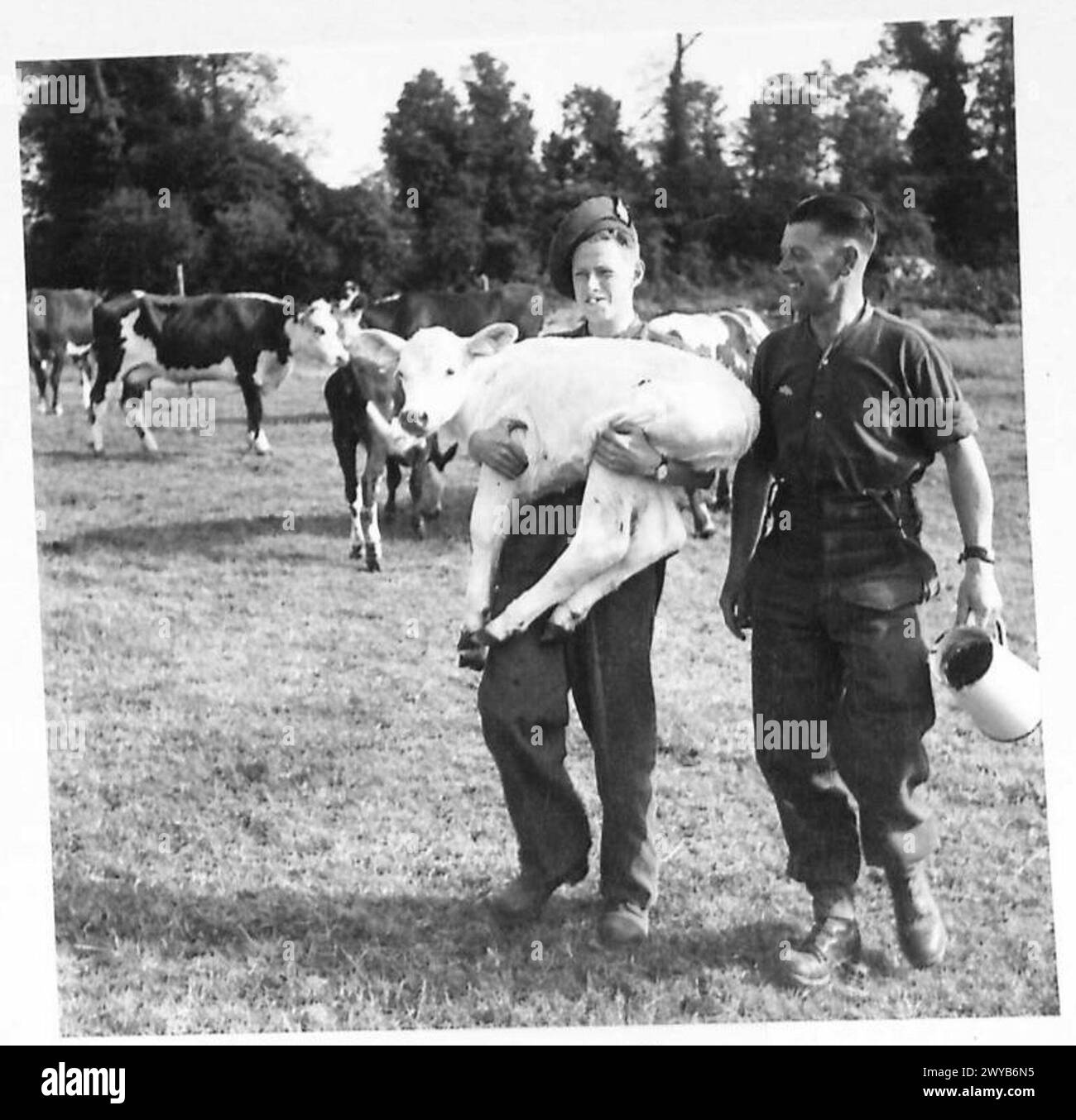 SOLVING THE MILK PROBLEM IN NORMANDY - Original wartime caption: A ...