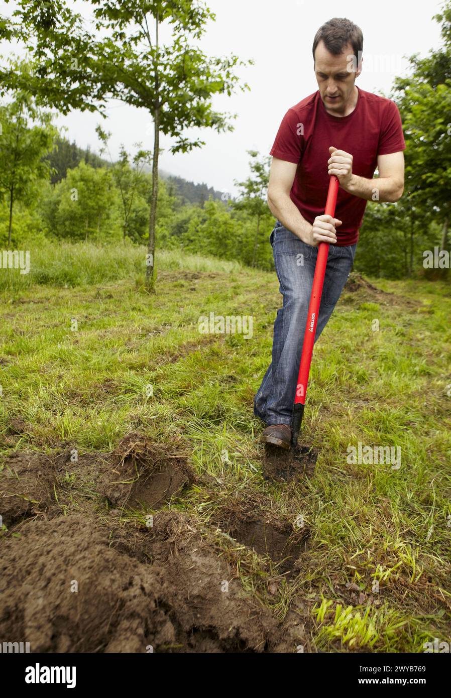Farmer digging with spade, hand tool, farming, Guipuzcoa, Basque ...