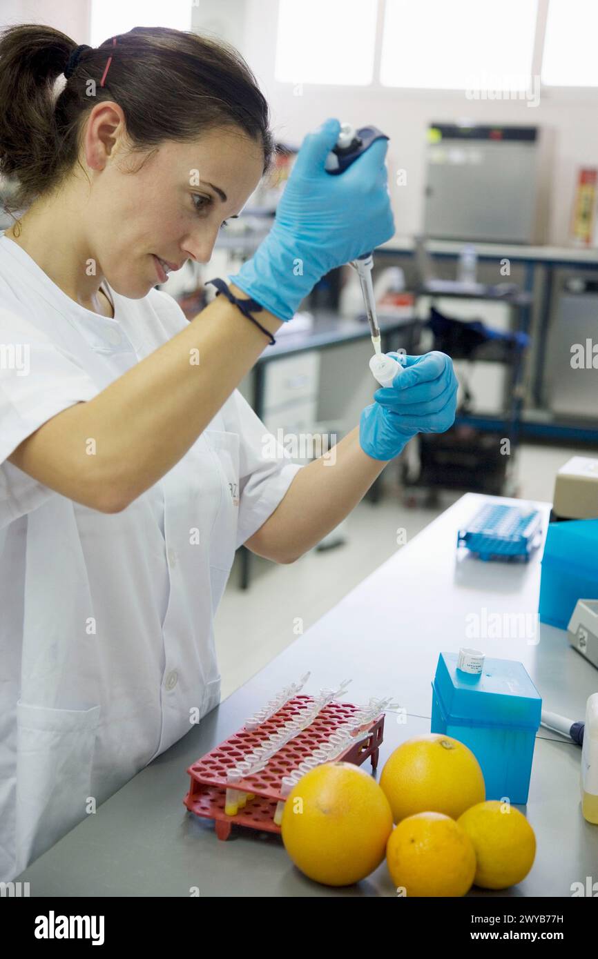 Molecular Biology Laboratory. Preparing samples to detect the addition ...
