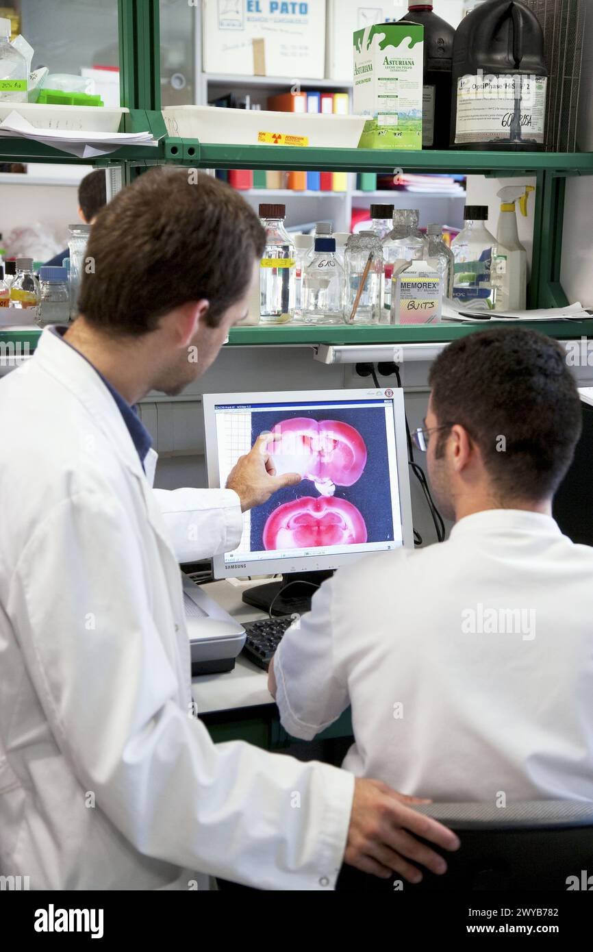 Department brain ischemia neurodegeneration iibb hi-res stock ...