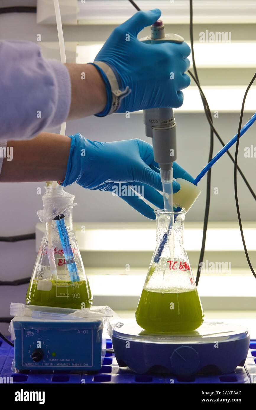 Erlenmeyer culture flasks hi-res stock photography and images - Alamy