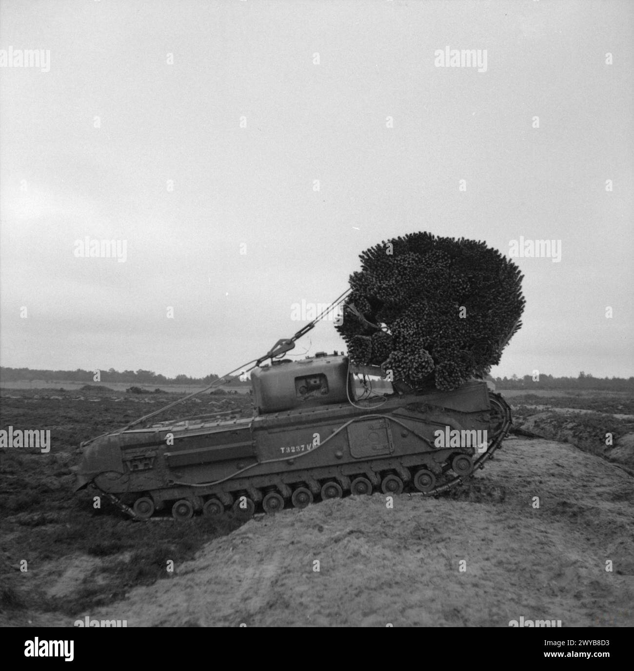 THE BRITISH ARMY IN THE UNITED KINGDOM 1939-45 - Churchill fascine ...