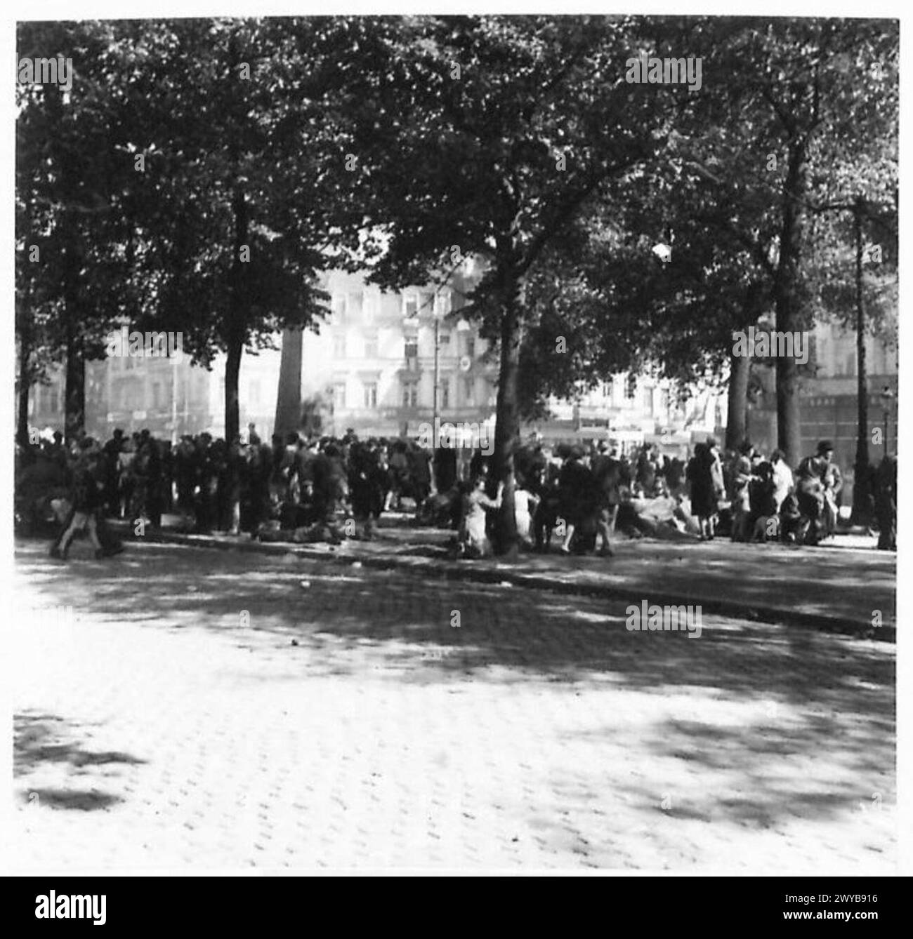 THE BRITISH ARMY IN NORTH-WEST EUROPE 1944-1946 - Original wartime ...