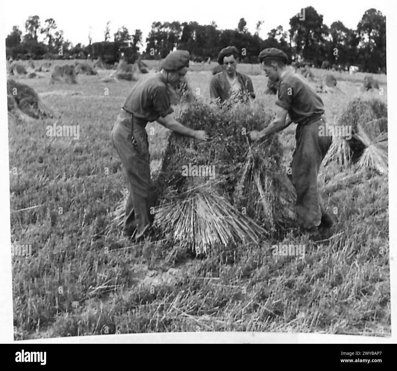 Helping the farmers Black and White Stock Photos & Images - Alamy
