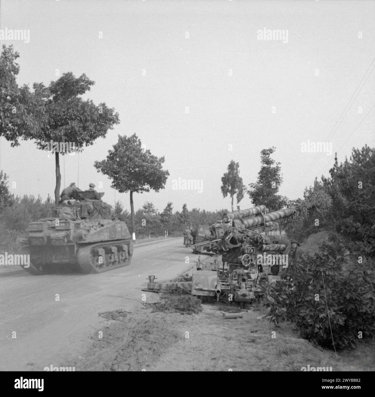 THE BRITISH ARMY IN NORTH-WEST EUROPE 1944-45 - A Sherman tank passes ...