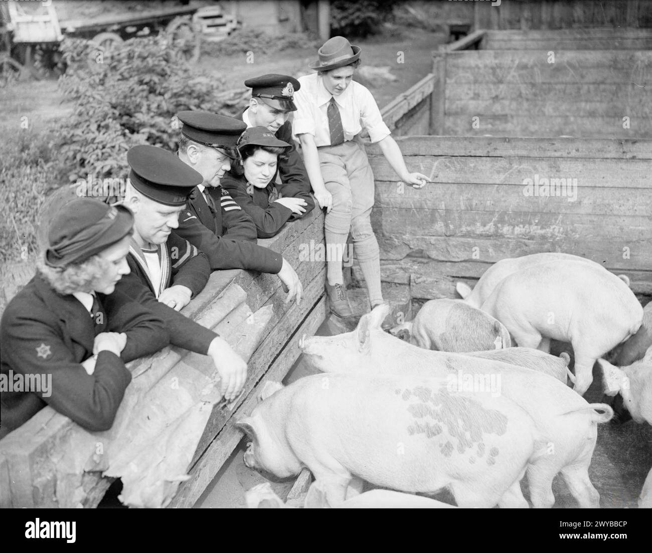 Bone salvage hi-res stock photography and images - Alamy