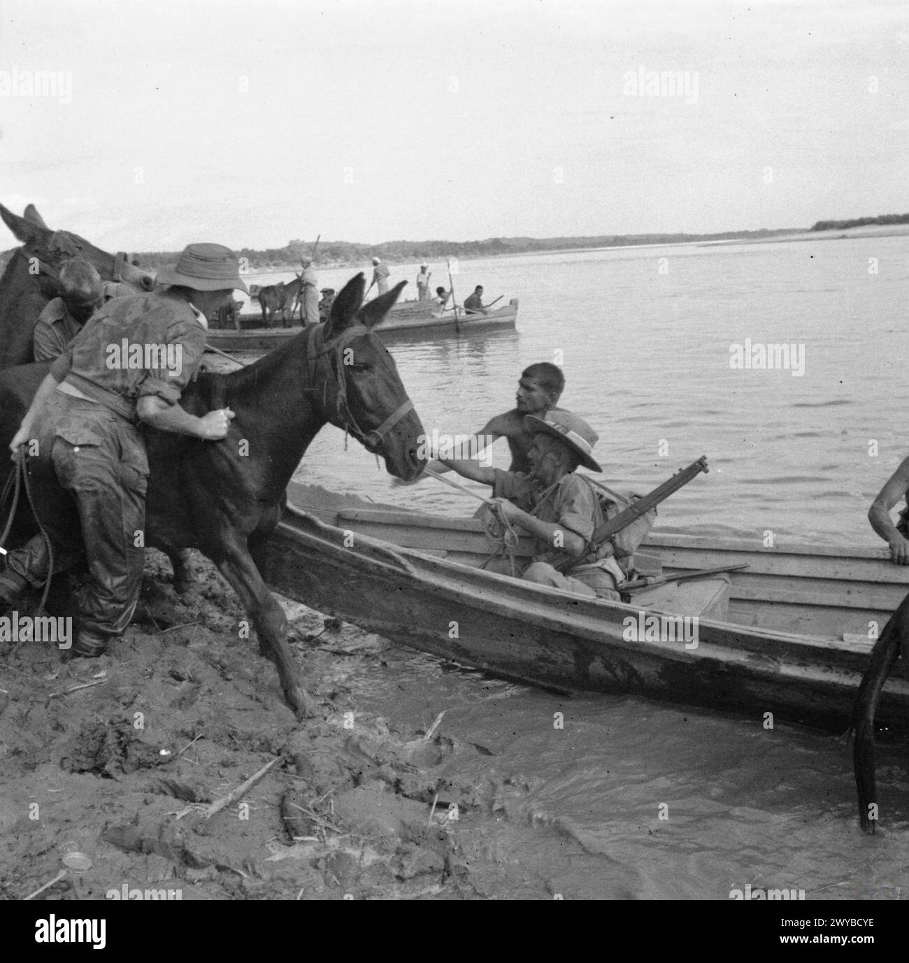 Indian troops guide mules across the Irrawaddy River for a 500-yard ...