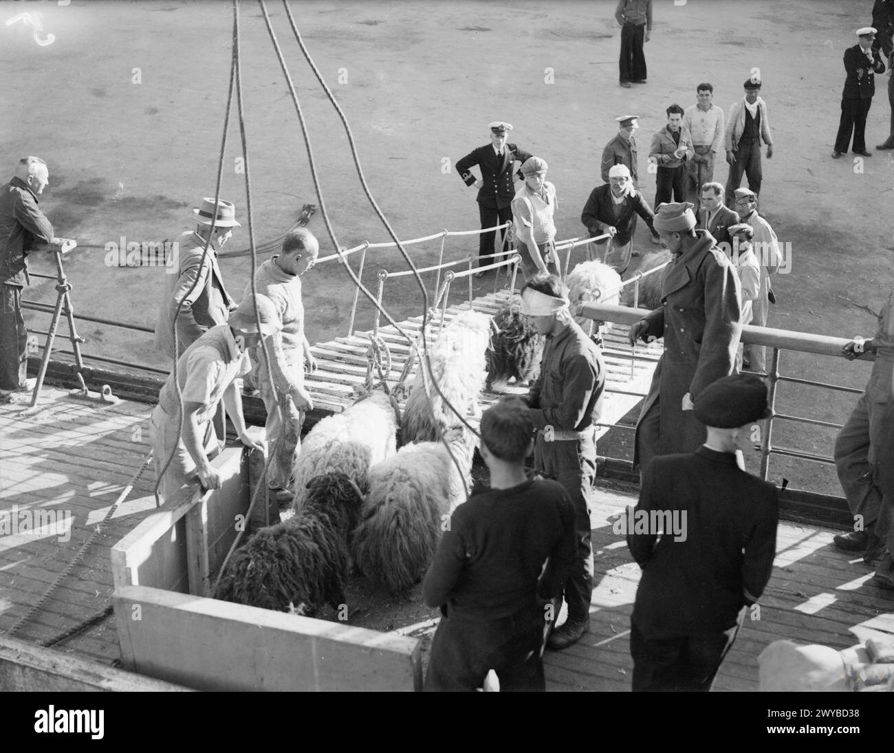 SUPPLIES FOR CYPRUS. 6 APRIL 1943, FAMAGUSTA, CYPRUS. FOOD AND ...