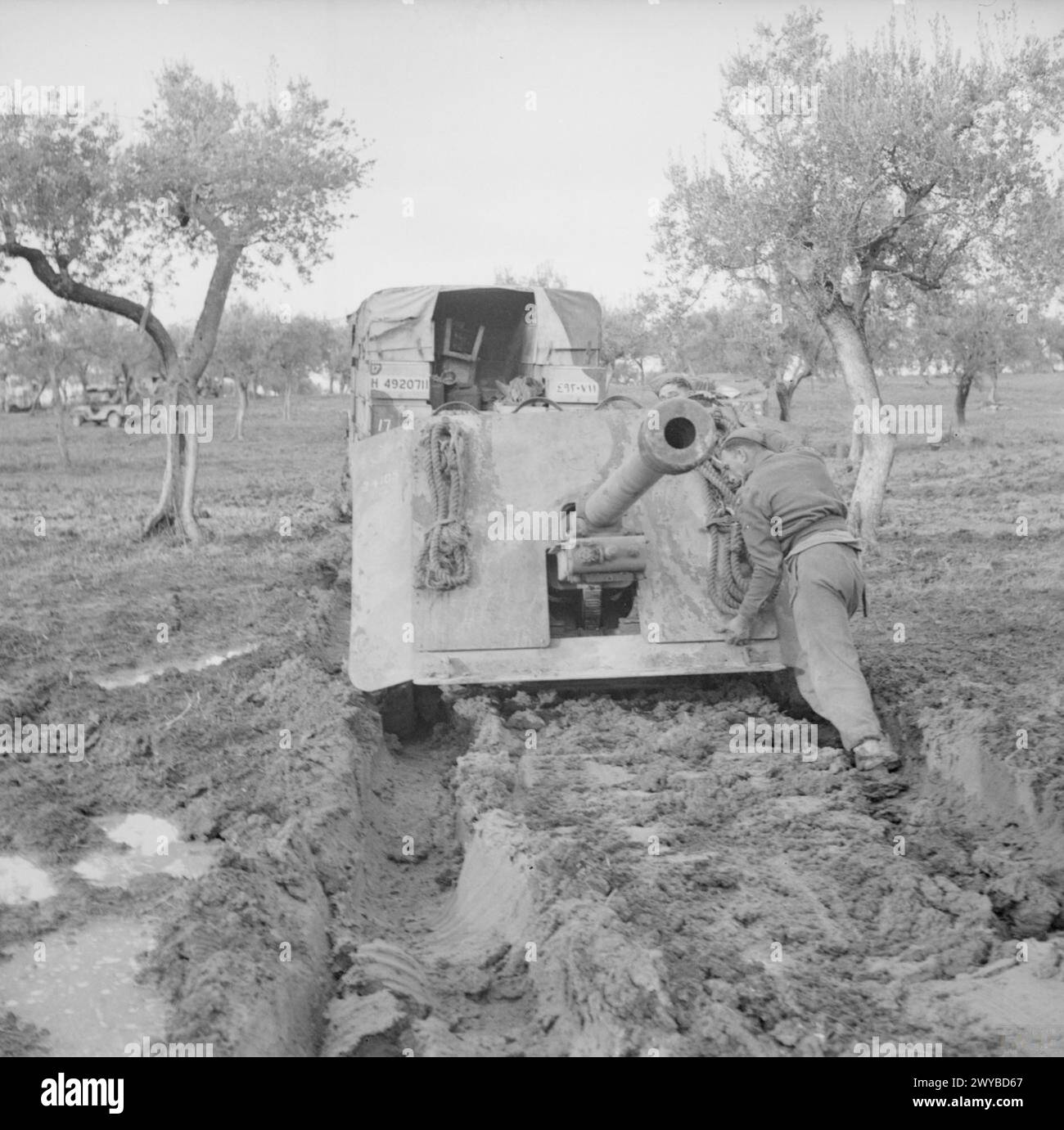 THE BRITISH ARMY IN ITALY 1943 - A 17-pdr anti-tank gun being ...