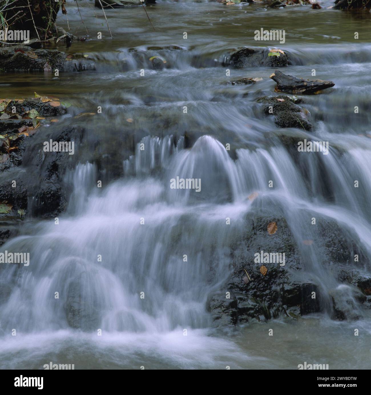 Alzania River. Guipúzcoa. Spain Stock Photo - Alamy