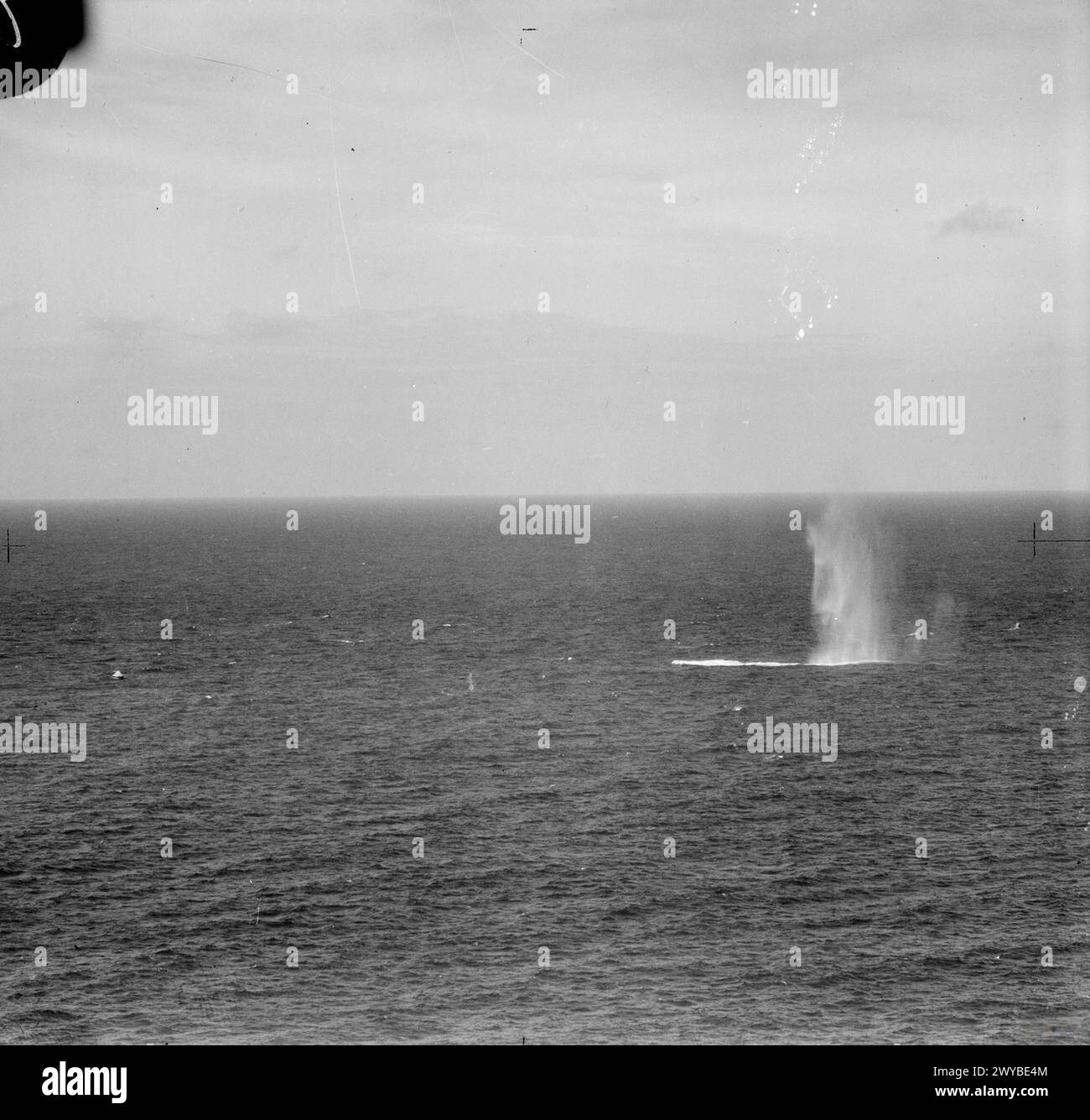 ROCKET FIRING FAIREY SWORDFISH. 1 AUGUST 1944, ST MERRYN ROYAL NAVAL ...