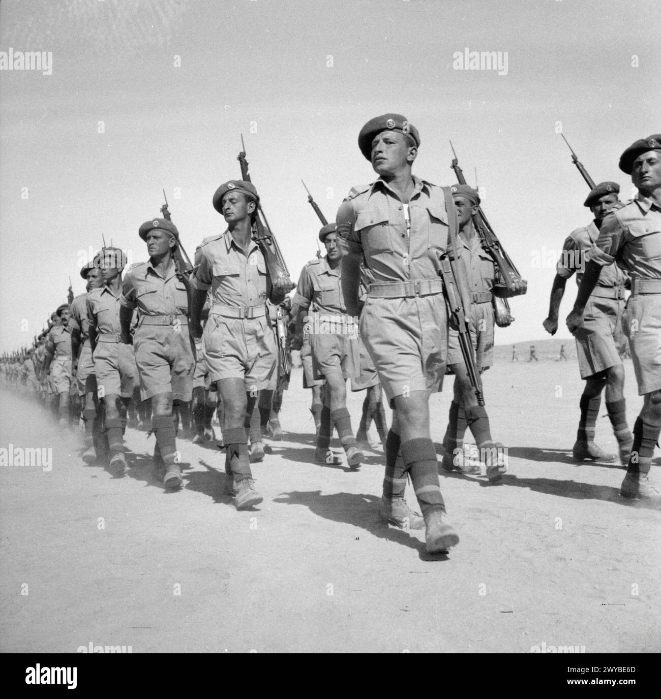 British eighth army hi-res stock photography and images - Alamy