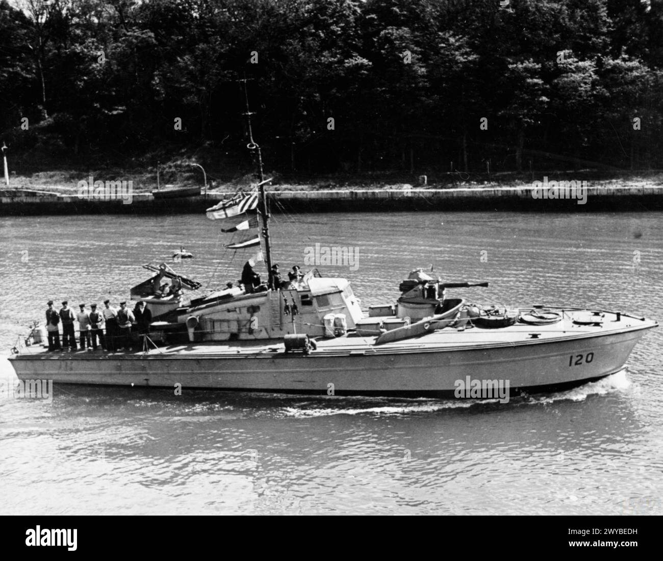 MGB 120, a Royal Navy Motor Gun Boat in 1943, moves along a tree-lined ...