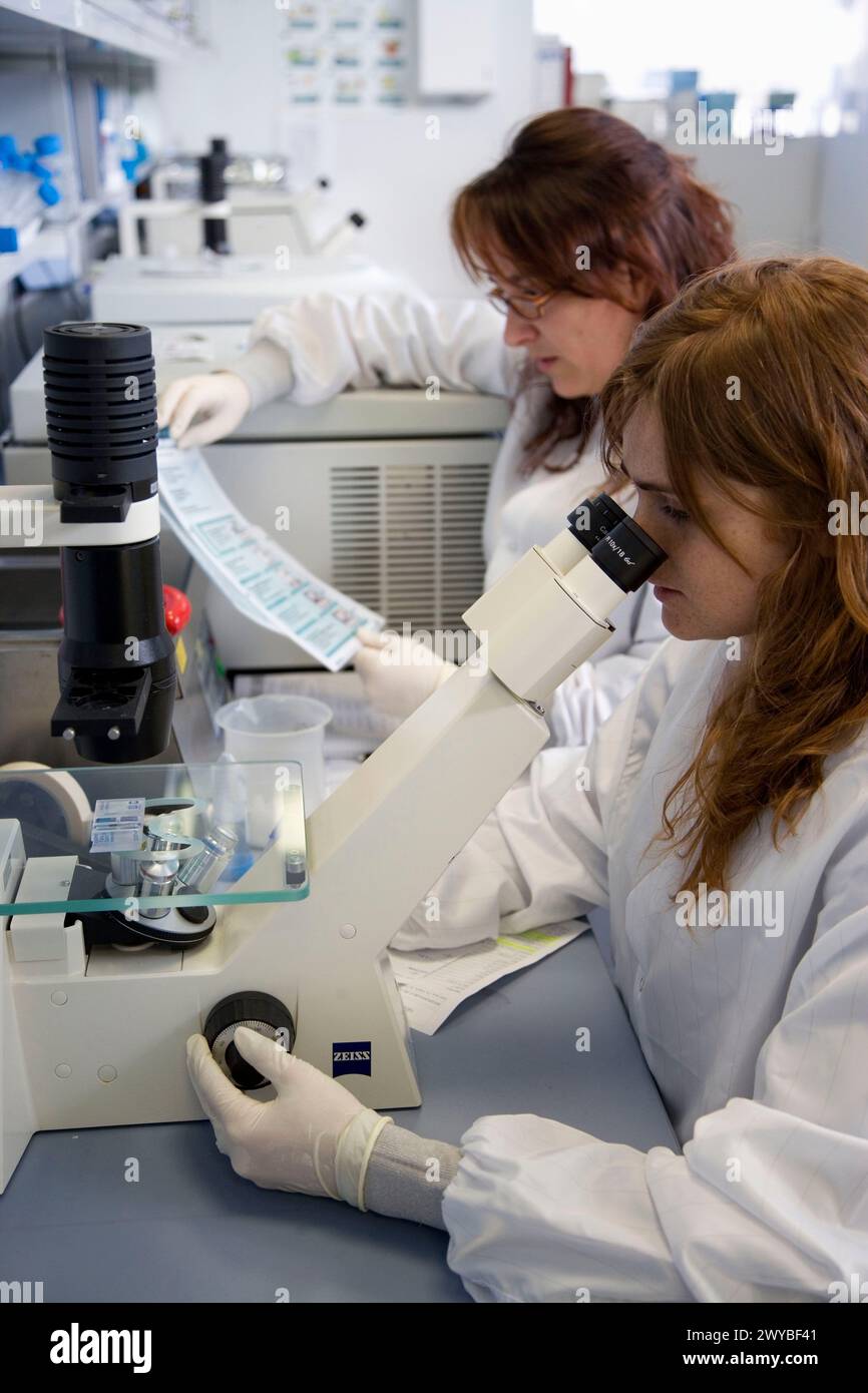 Counting cells, Neubauer chamber, culture room, biopharmaceutical lab ...