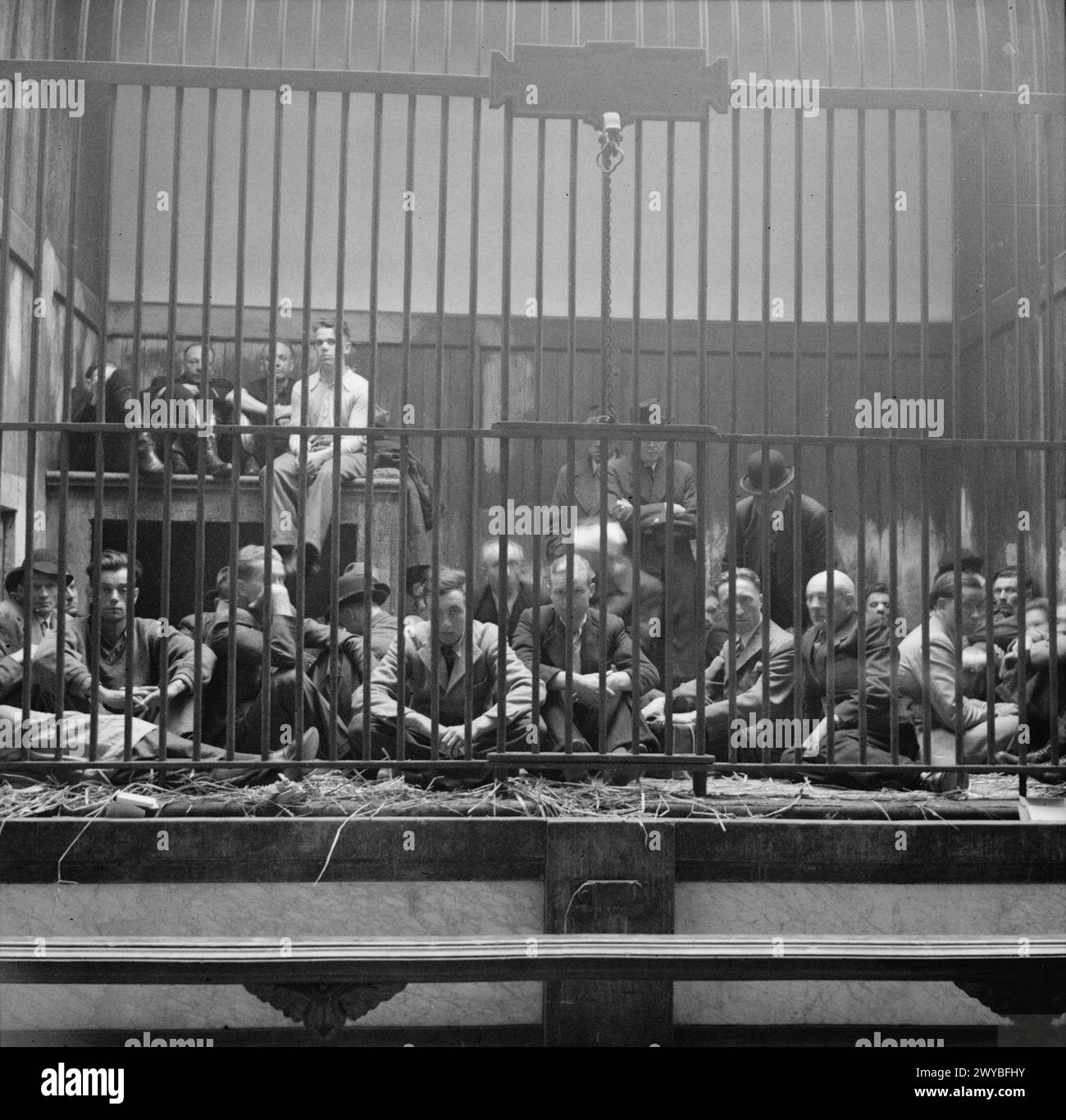 Belgian cage hi-res stock photography and images - Alamy