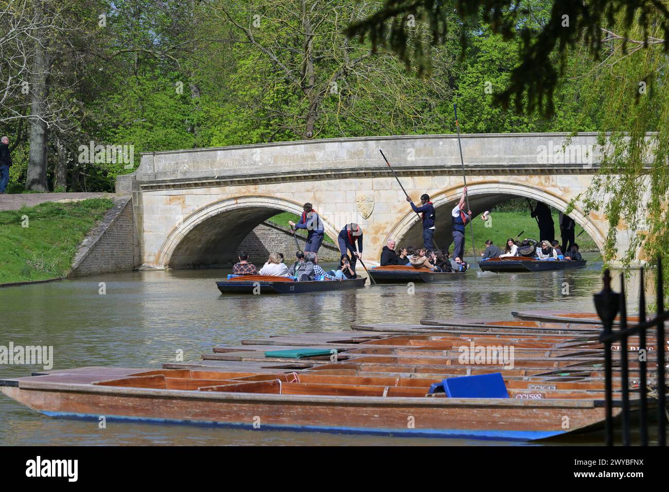 Spring sunny weather Cambridge UK Visitors to the backs in Cambridge UK ...