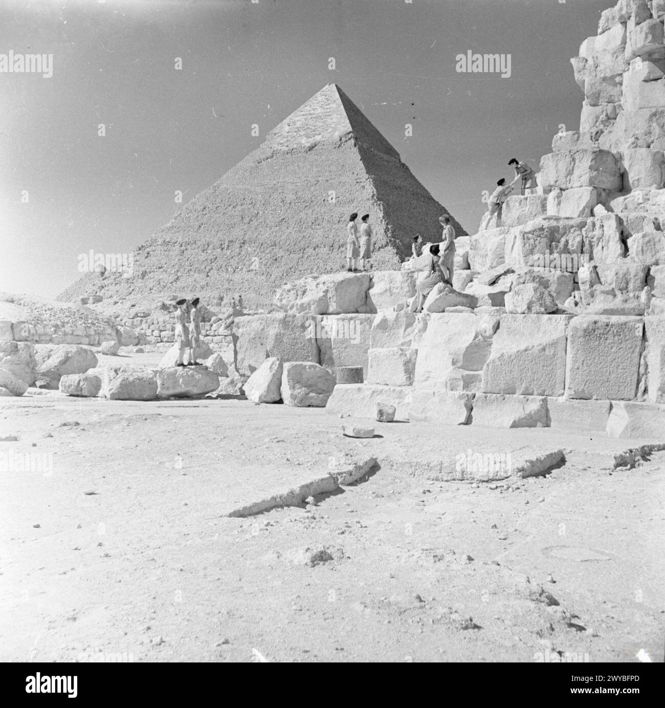 THE BRITISH ARMY IN NORTH AFRICA 1942 - Newly arrived girls of the ATS ...