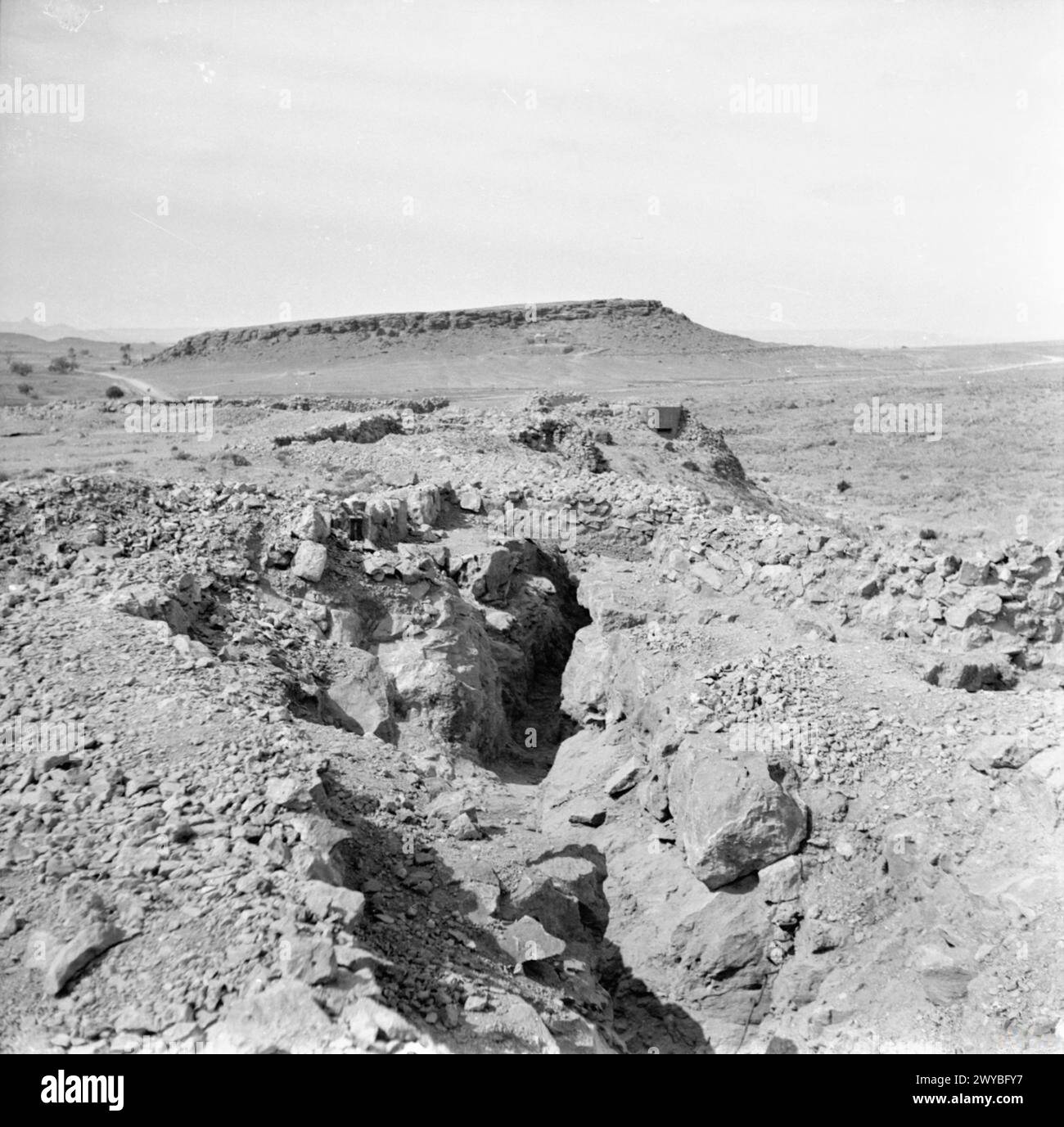 THE CAMPAIGN IN NORTH AFRICA 1940-1943 - The Axis retreat and the ...