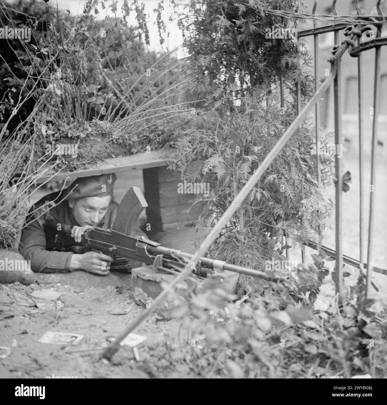 German light infantry gun hi-res stock photography and images - Alamy