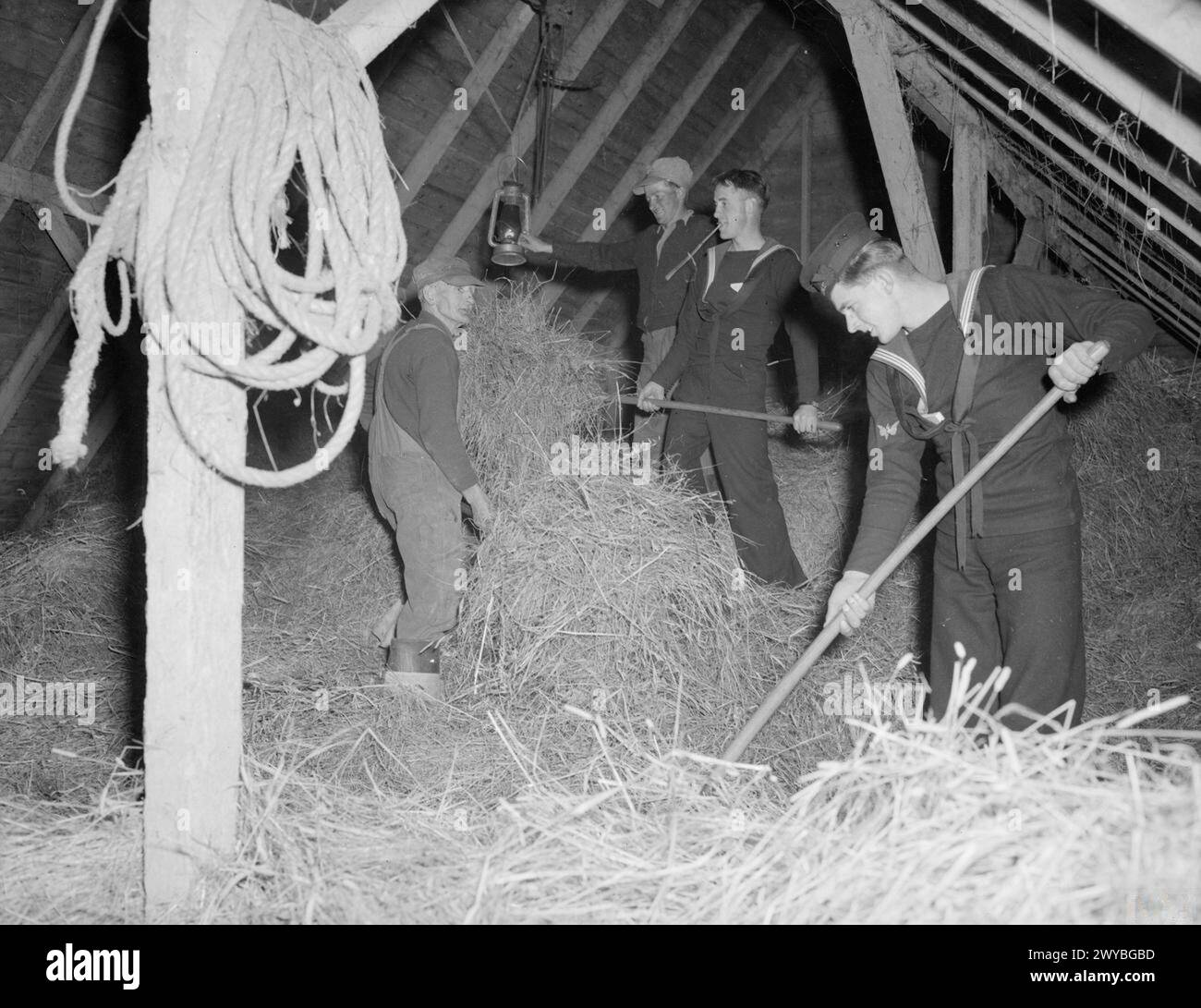 Hay piling hi-res stock photography and images - Alamy