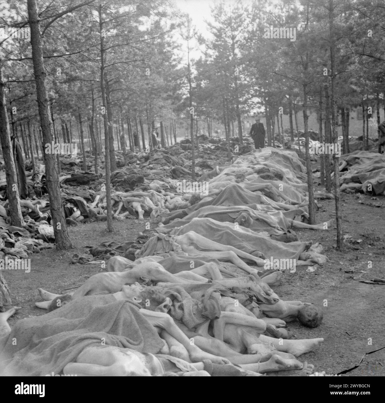 Piles of corpses at Bergen-Belsen concentration camp await burial in ...