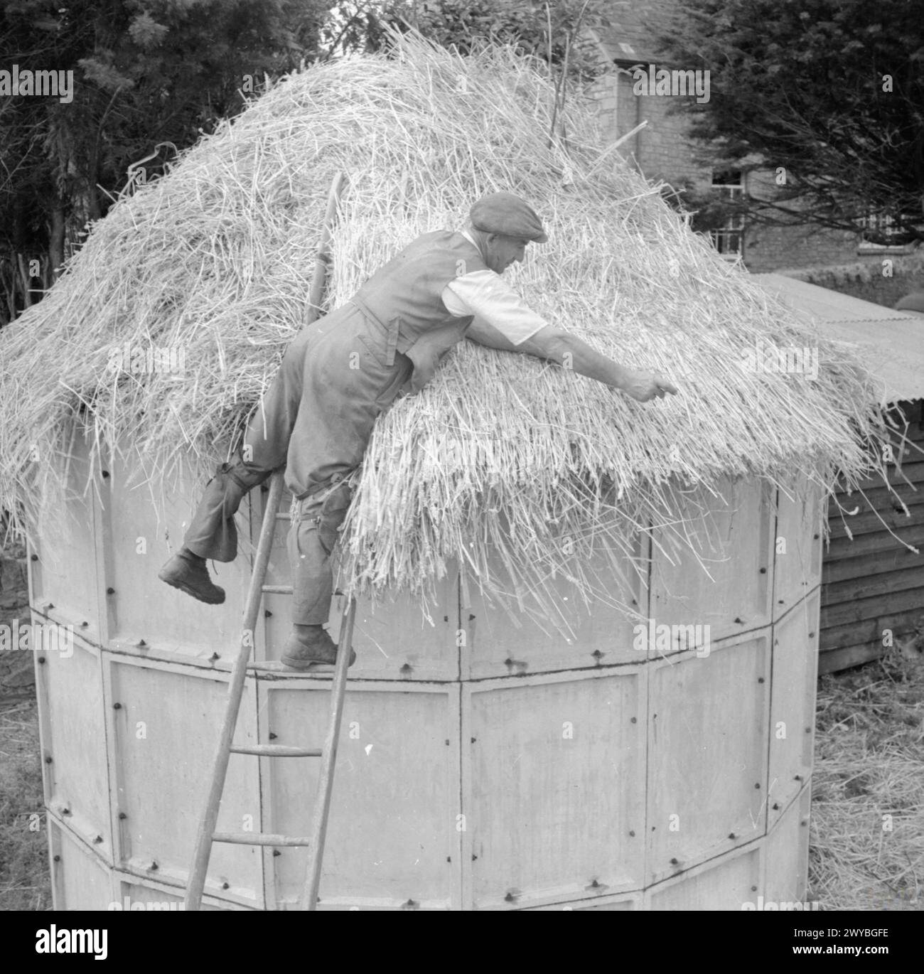 AGRICULTURE IN BRITAIN: LIFE ON MOUNT BARTON FARM, DEVON, ENGLAND, 1942 ...